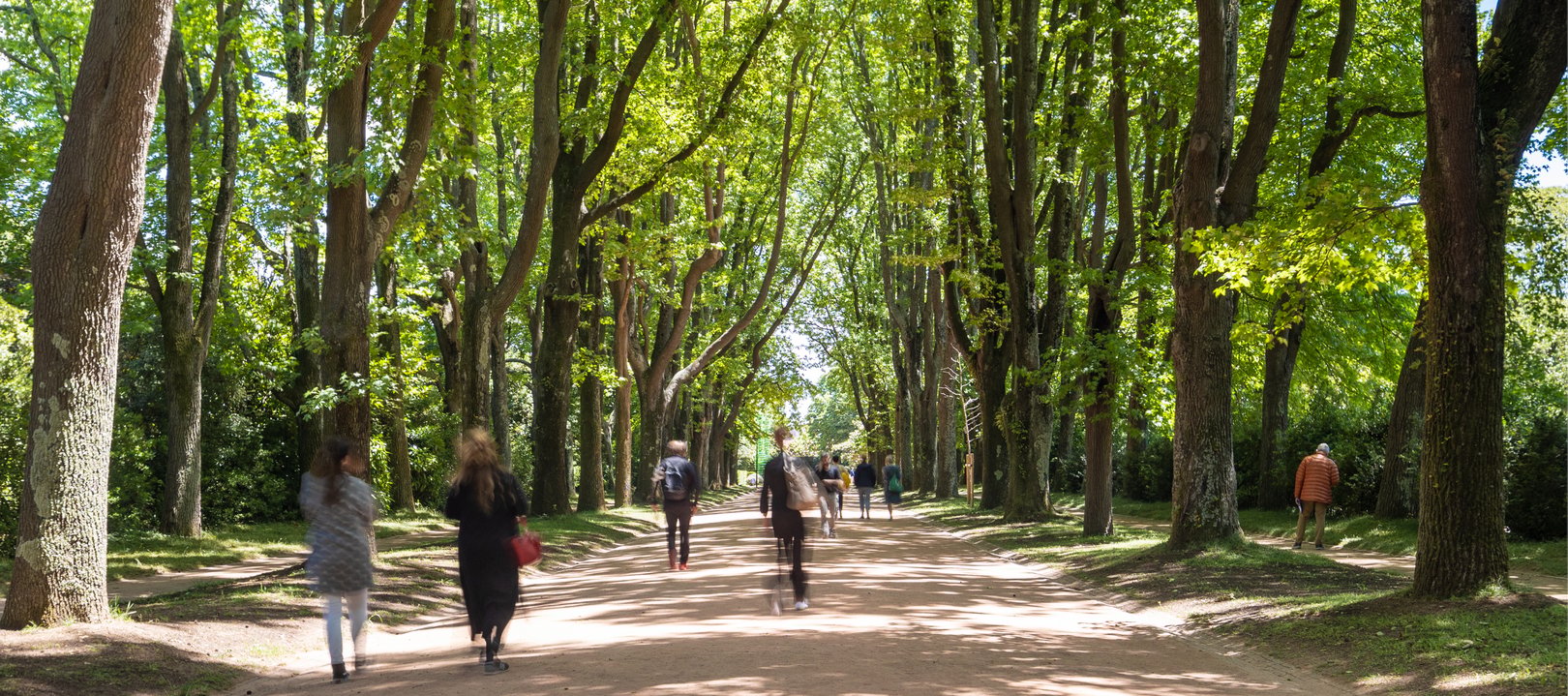 Fundação de Serralves