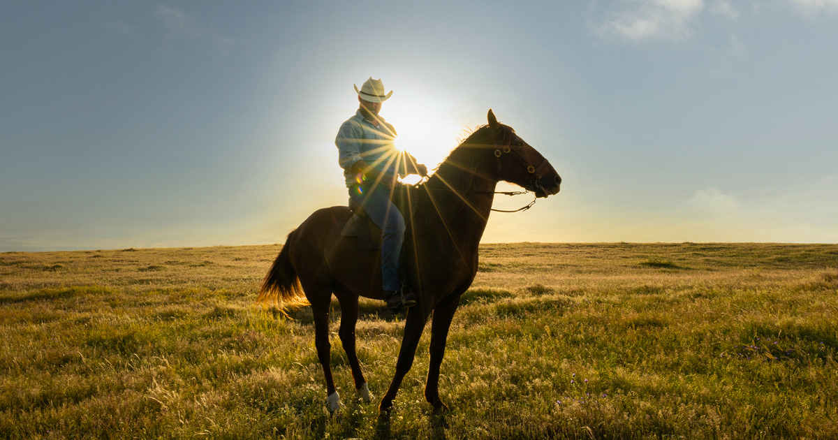 EDP “Acredita no Sol”