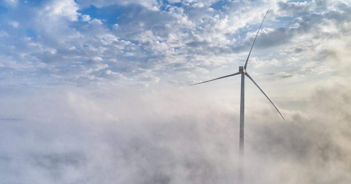 Fidelidade adere à Net-Zero Asset Owner Alliance