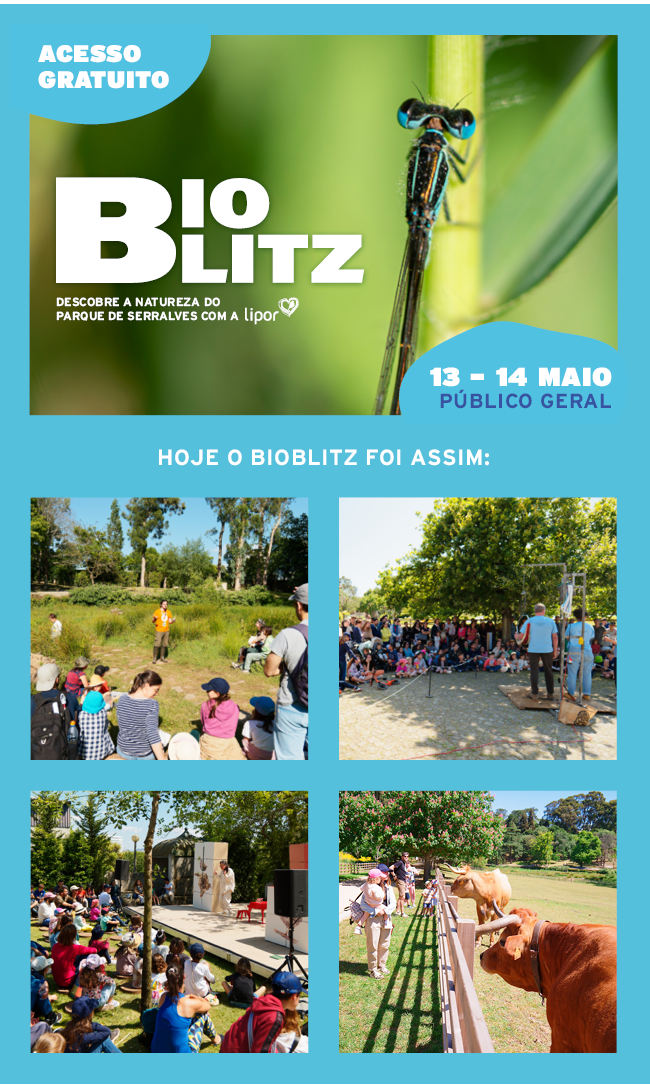 Newsletters: BioBlitz 2023 | Hoje foi assim e amanhã há mais! | Acesso Gratuito