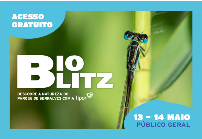 Newsletters: BioBlitz 2023 | É já este fim de semana! | Espetáculos em ...