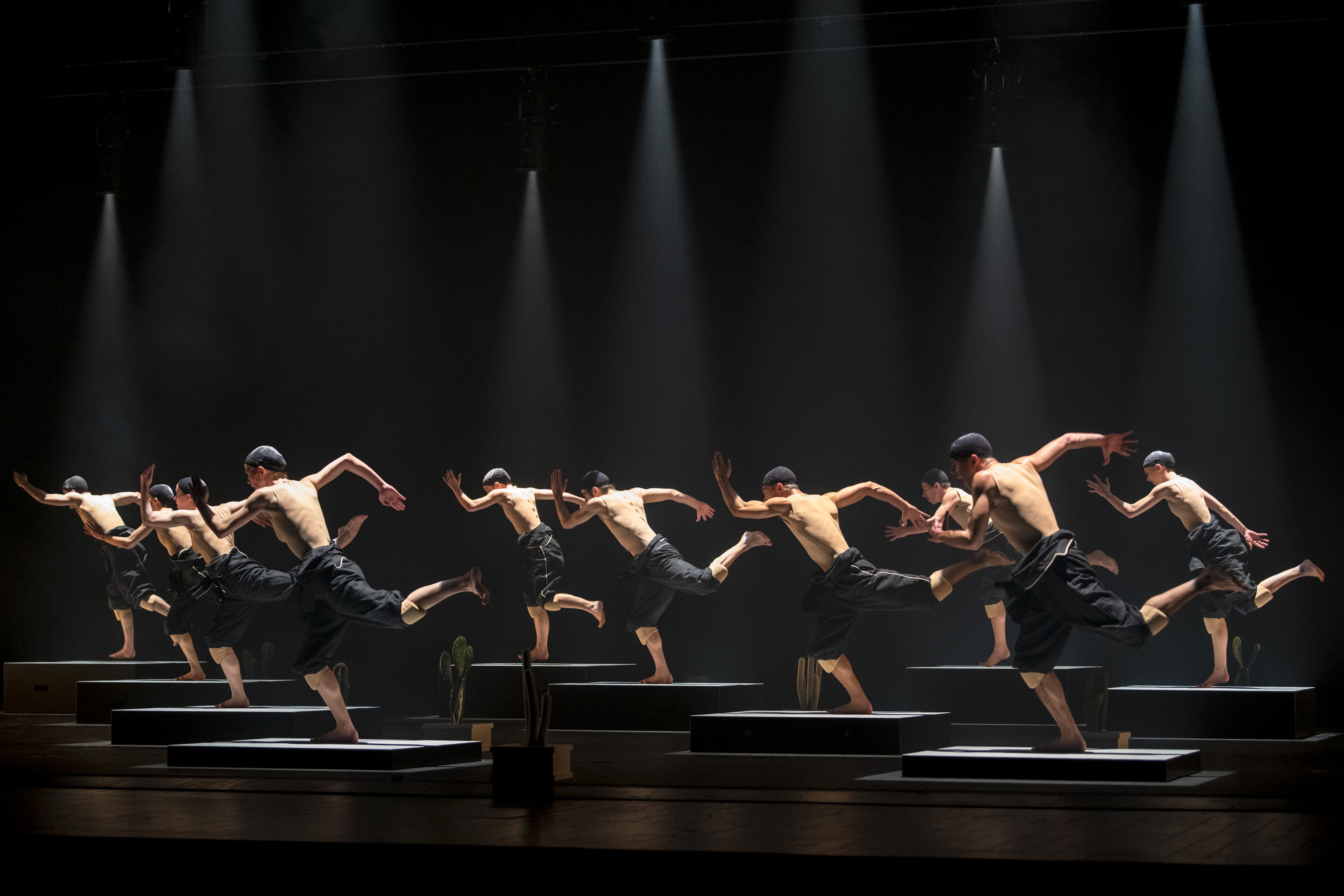 Programa - Walking Mad/ Cacti