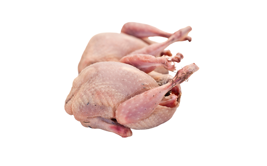 Comida de Bebé - Alimento - Codorniz