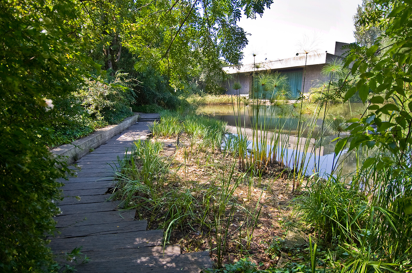 Artigo - Ferro Gaita, Fábia Rebordão e New Max em destaque no Jardim de ...