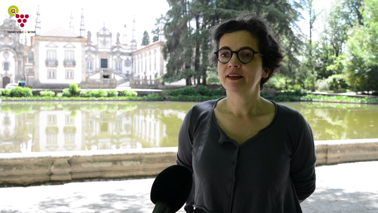 Participantes - Teresa Albuquerque