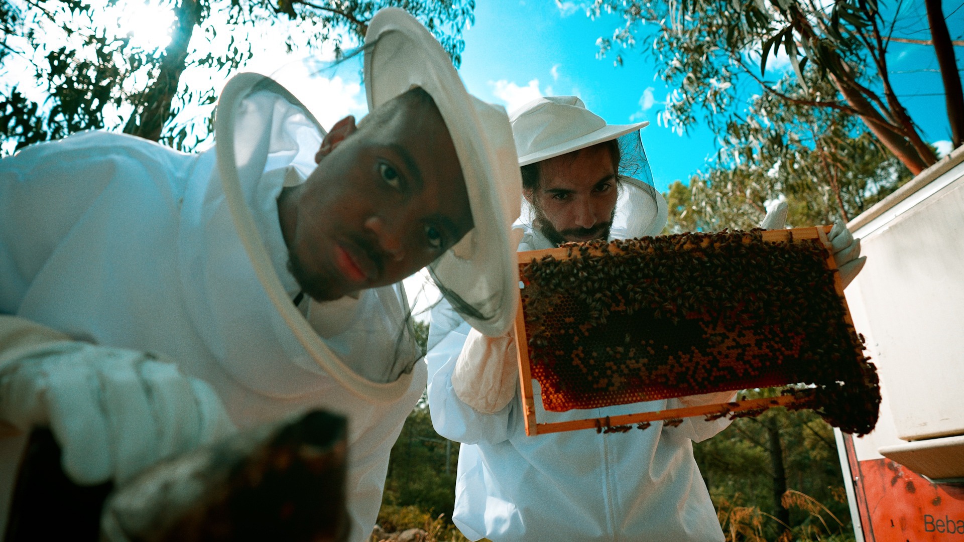 “Raíz” é o mais recente single de Harold e conta com L-Ali