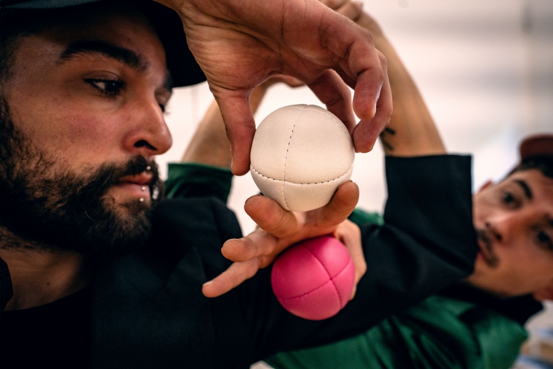 OAPT - Evento - Mostra Estufa 2024